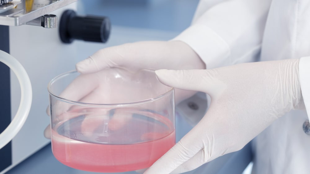 Encapsulator B-390 / B-395 | Buchi.com